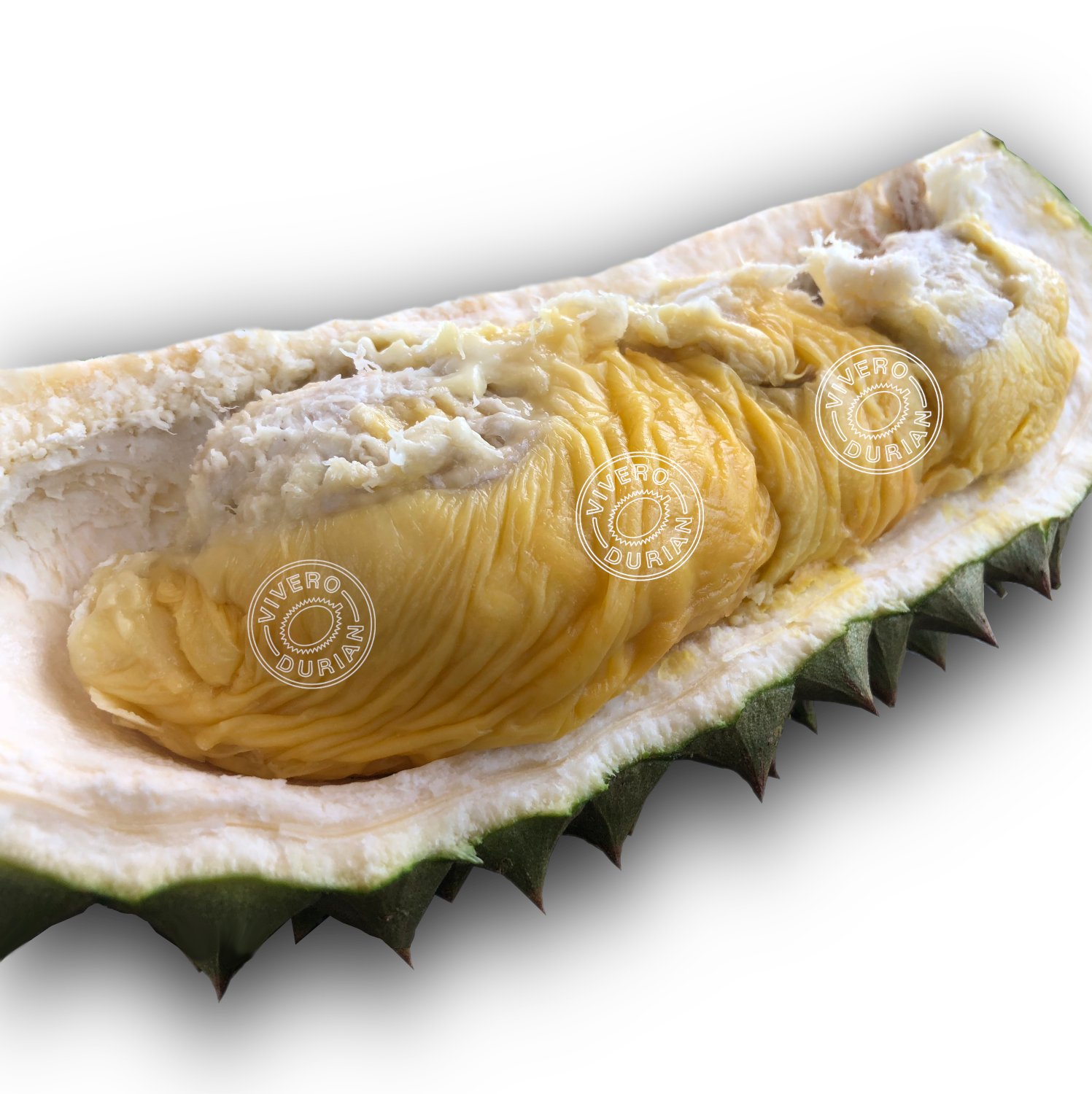 Vivero Durian, Products